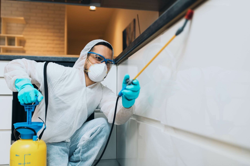 Pest Control Services in Gippsland • Venatic Building and Pest